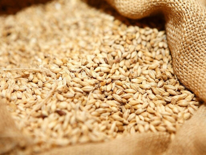 Current Gandum Rate in Pakistan: Impact on Farmers – IR Farm | Best ...