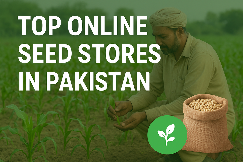 Top Online Seed Stores in Pakistan – Buy Quality Seeds Online – IR Farm ...