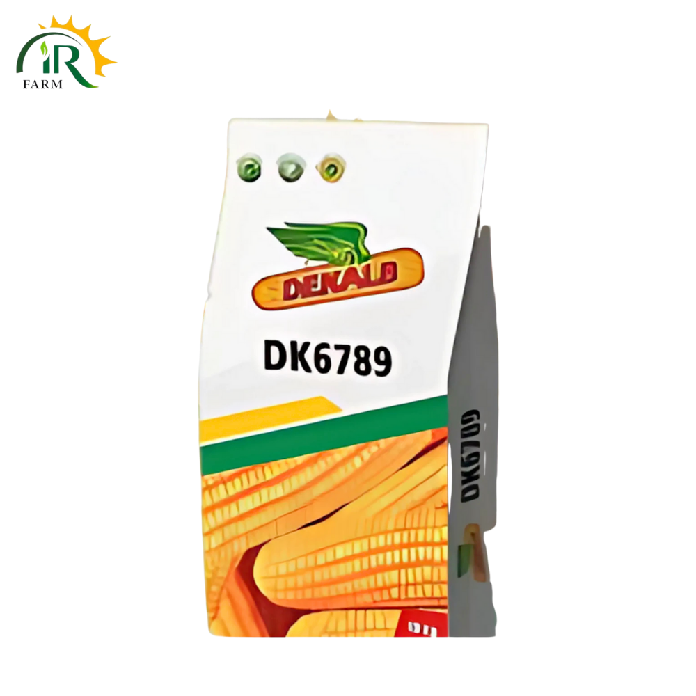 DK6789 Hybrid Corn Seed 10kg – Bayer Dekalb Maize – IR Farm | Best ...