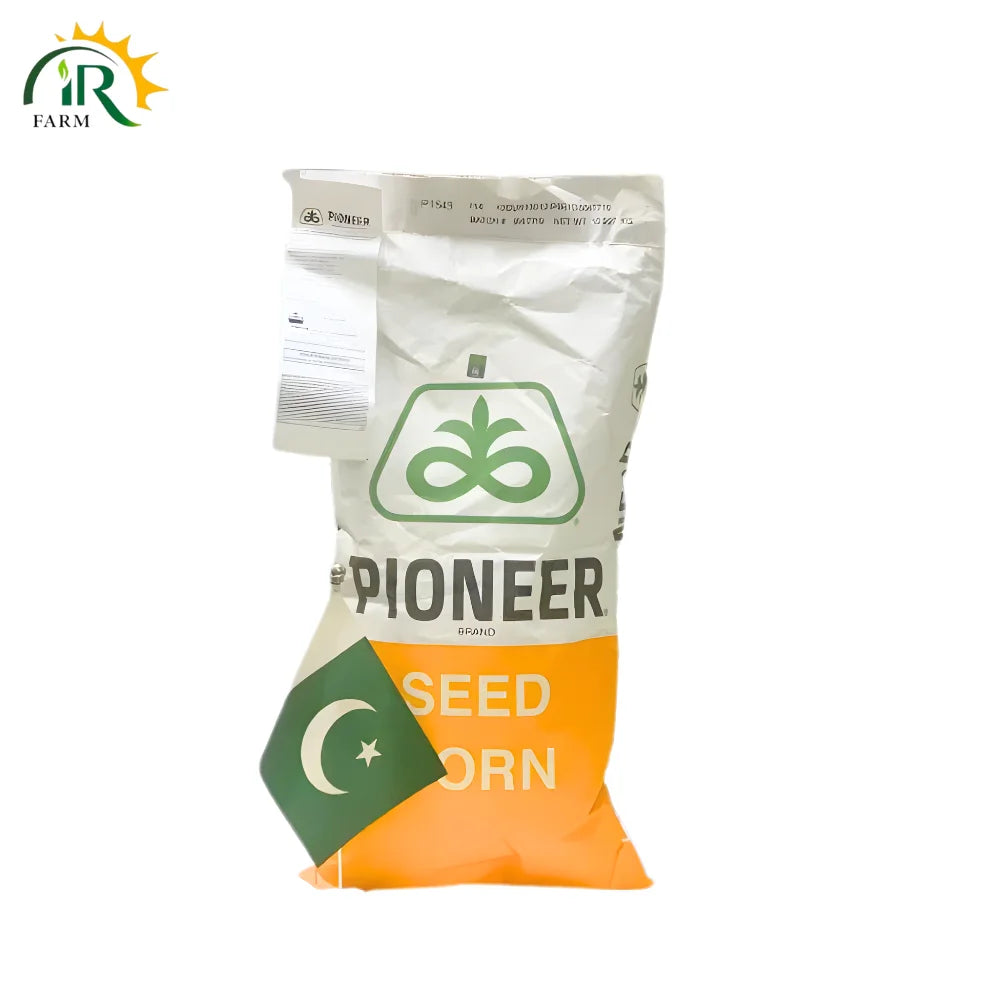 P1541 Hybrid CornSeed (3500 Kernels) – Pioneer Brand Spring Maize Seed ...