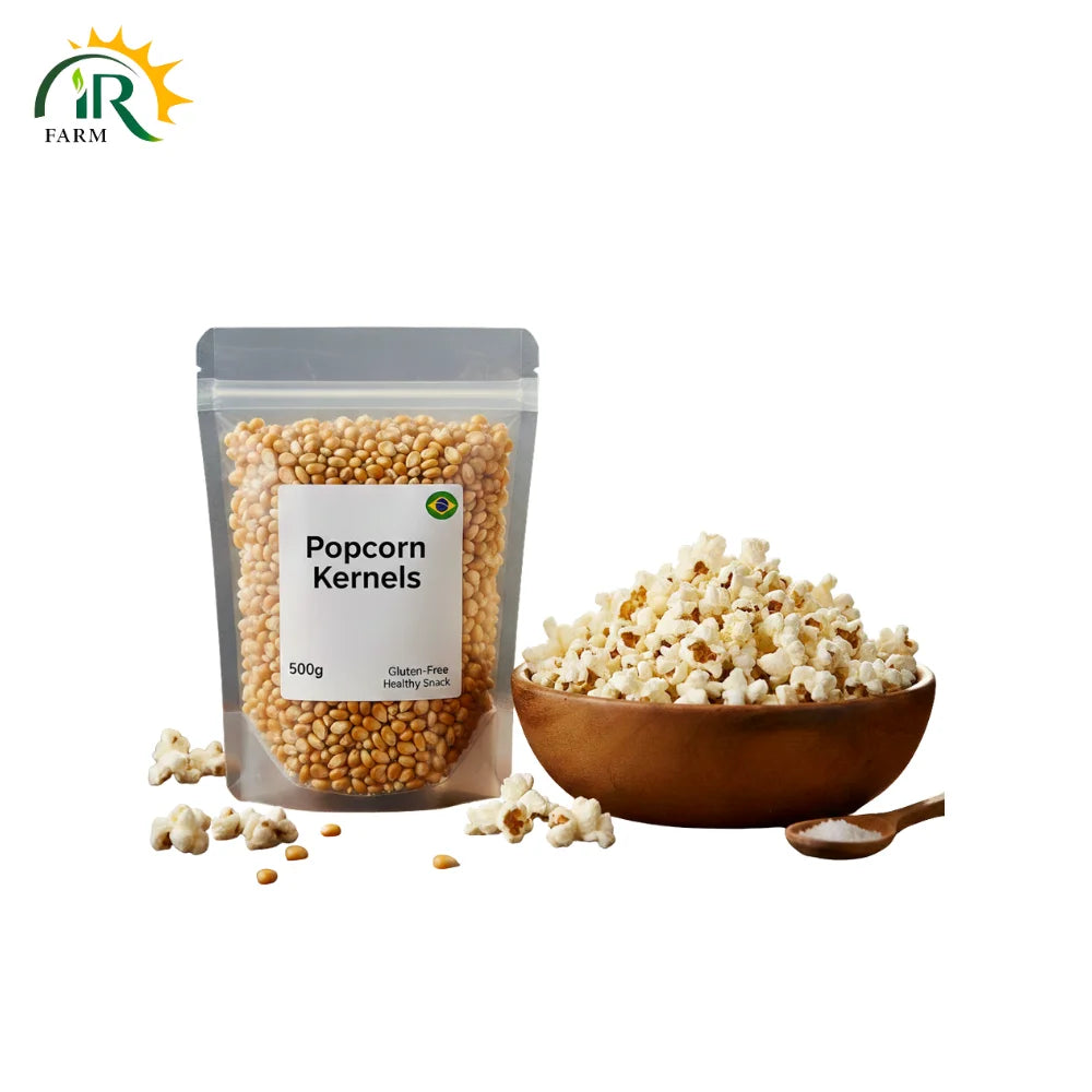 Popcorn Kernel (500g) – Premium Imported Brazil Sunbeam Popcorn for ...