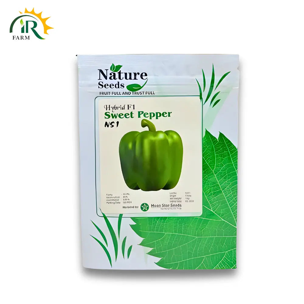 Sweet Pepper NS1 Hybrid F1 Seeds 10g – High Yield Shimla Mirch Beej ...