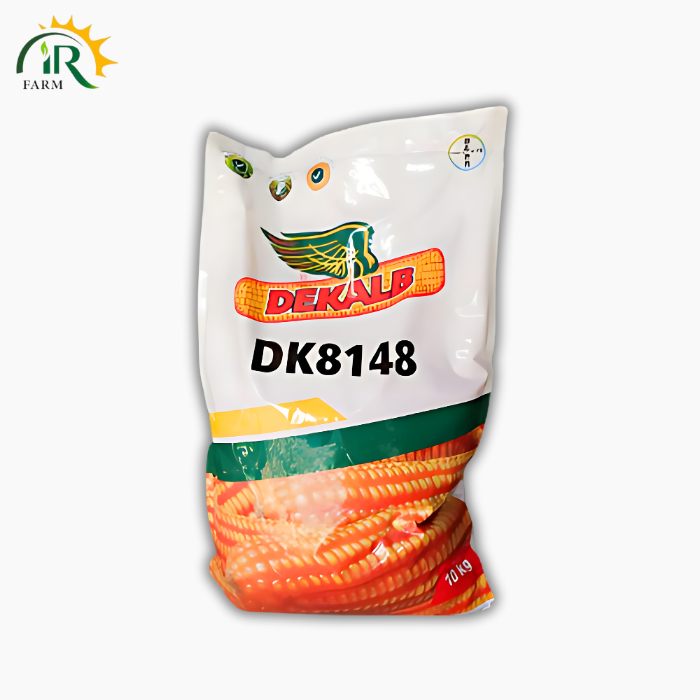 DK8148 Hybrid Corn Seed 10kg – Bayer Dekalb Maize – IR Farm | Best ...